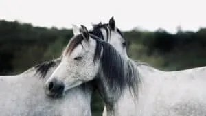 An Interview with Rhona Mitra | The Last Ark Orphanage | Plan South America