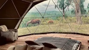 An Interview with Rhona Mitra | The Last Ark Orphanage | Plan South America