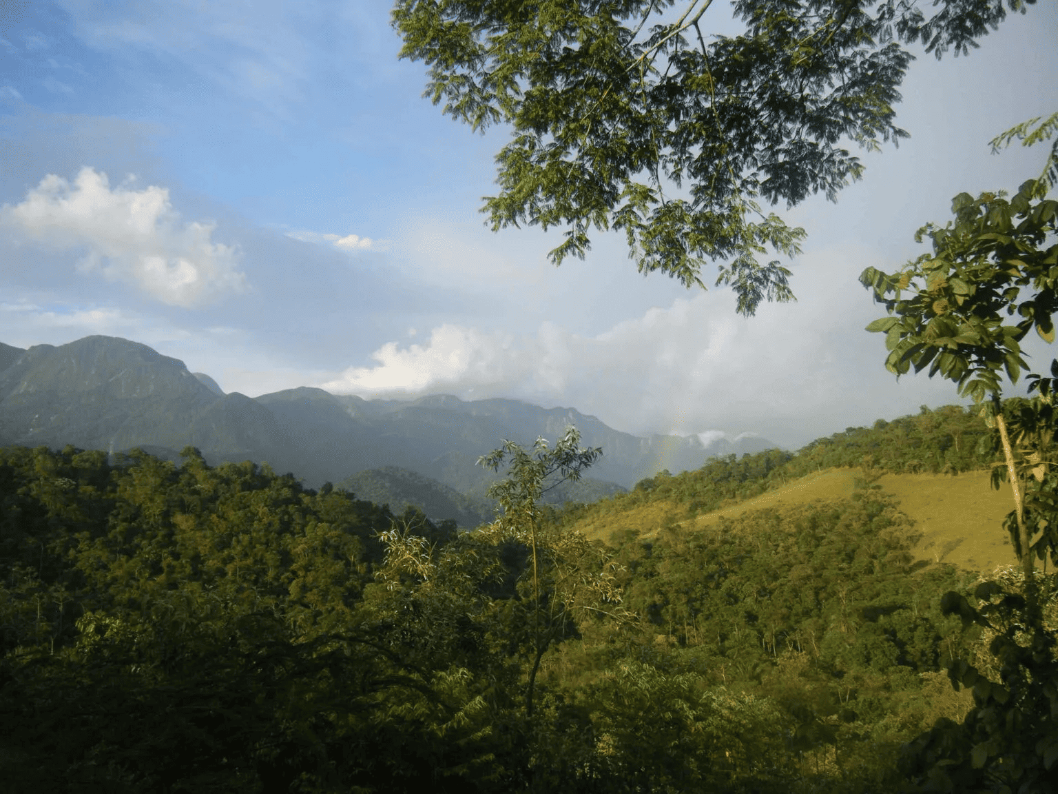How REGUA is Saving Brazil's Atlantic Forest