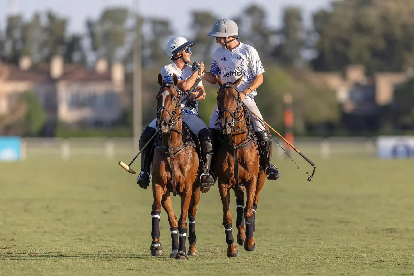 The Argentine Polo Open Championship | Plan South America
